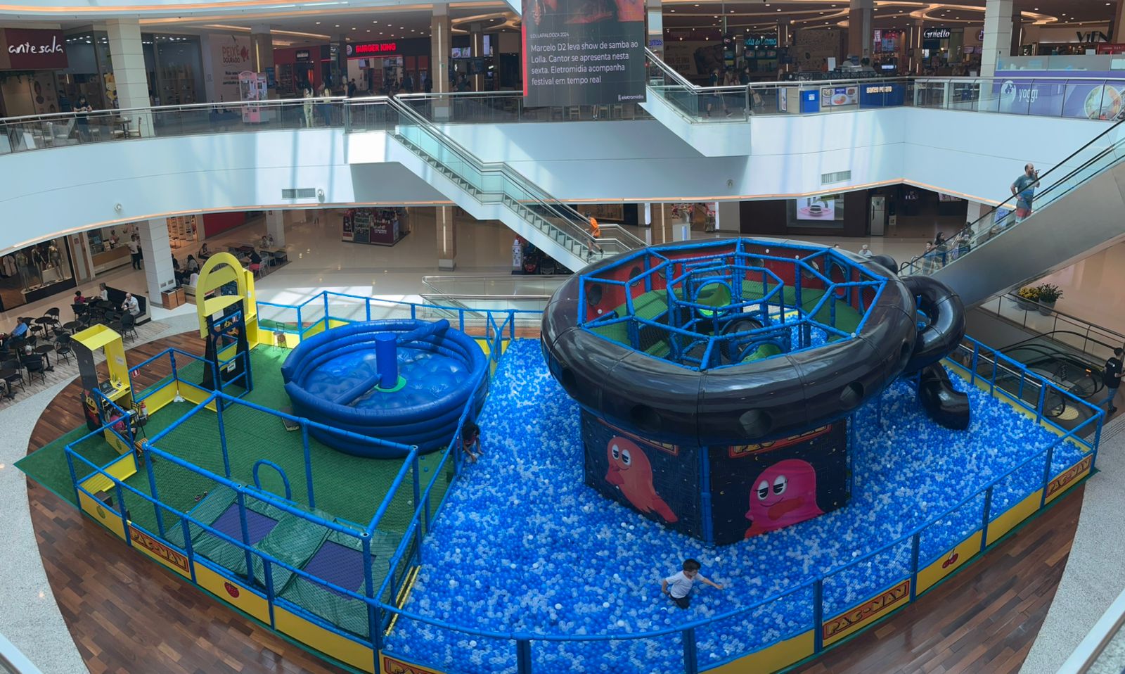 De promessa mirim a prodígio de sucesso: conheça a granjeira Manu ...